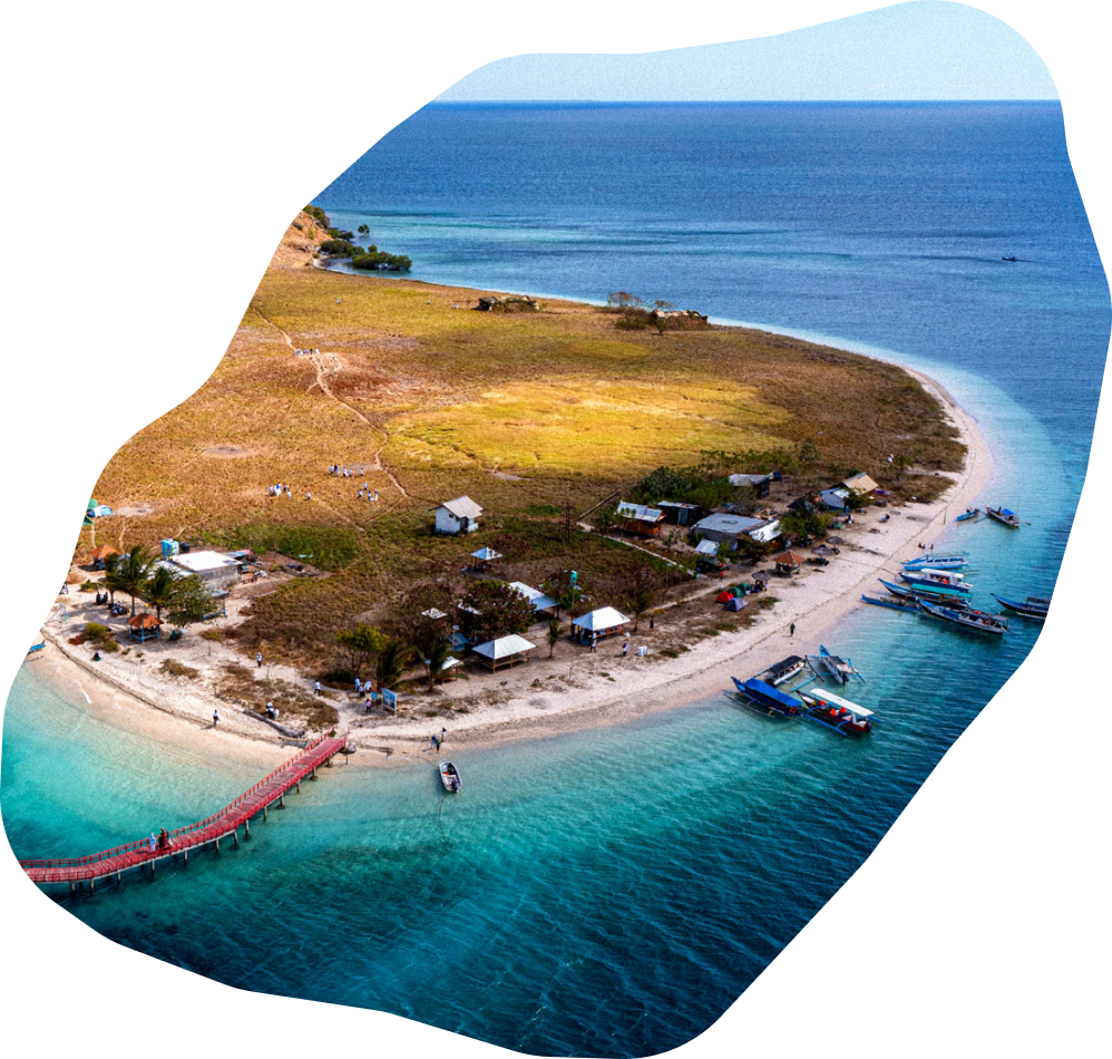 Sustainability | AMMAN